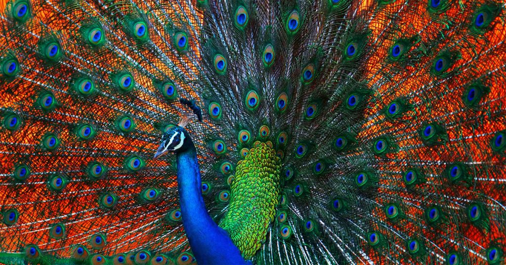 Five Ways You Can Attract Customer Attention