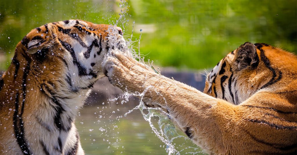 How to Handle a Tense Situation at Work (Even When Working Remotely)